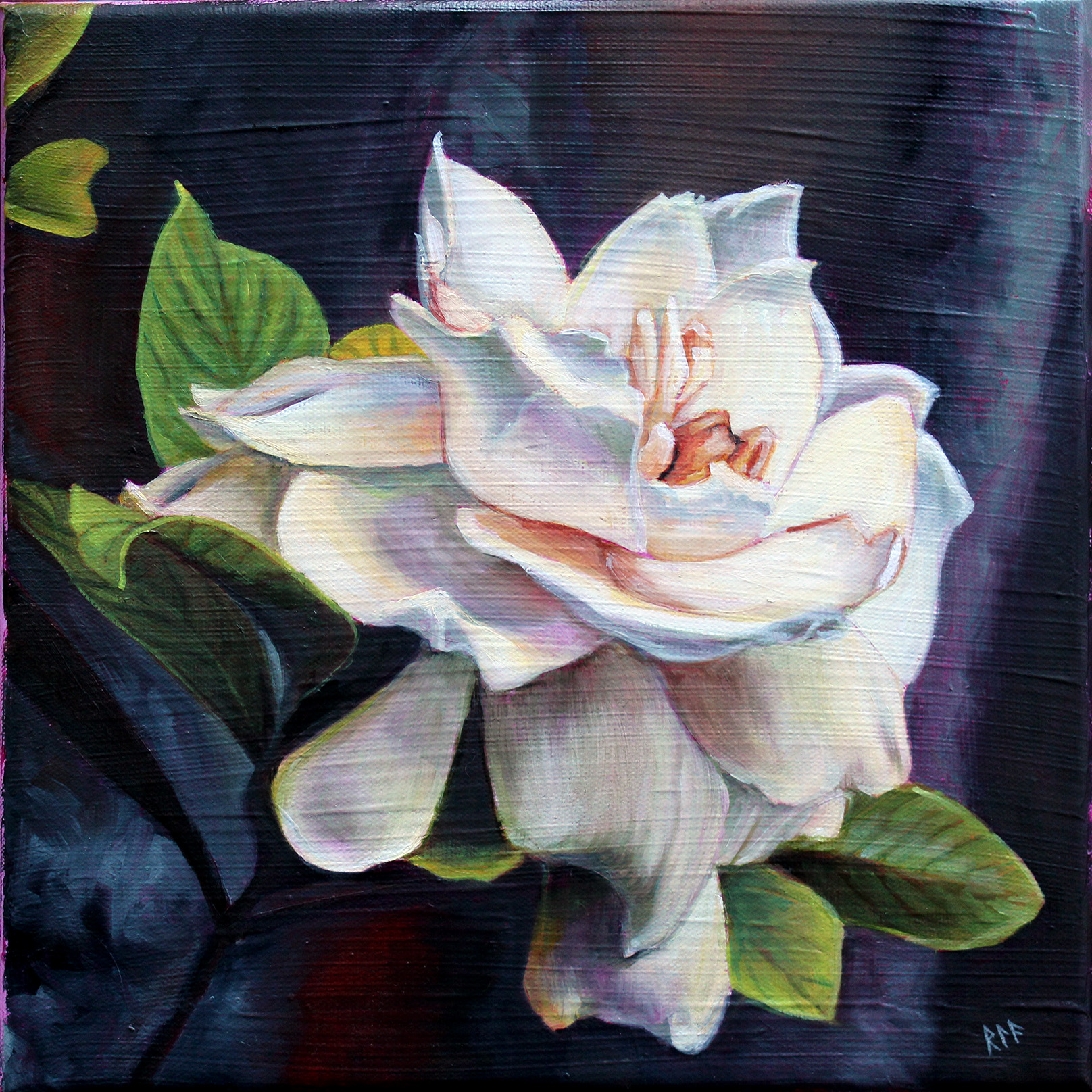 Gardenia Small